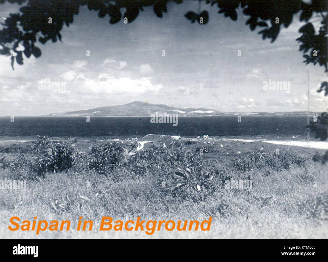 An image from the 9th Bomb Group, likely showing an aircraft or crew ...