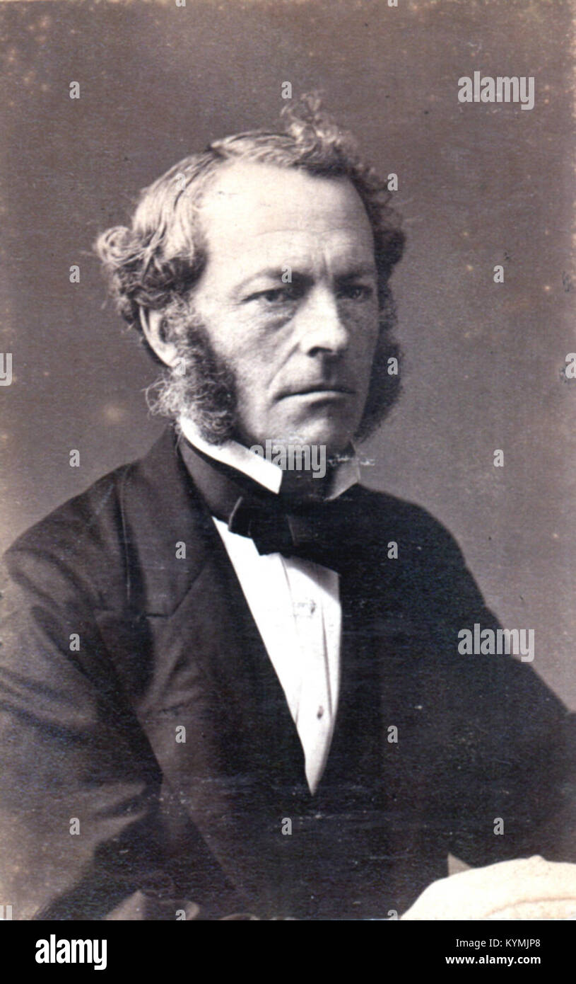 Portrait of George Gabriel Stokes (1819-1903), Physicist and ...