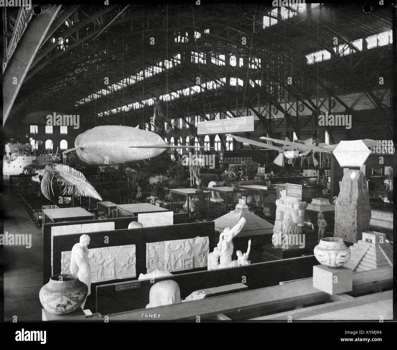 An illustration of the United States National Museum exhibit at the ...