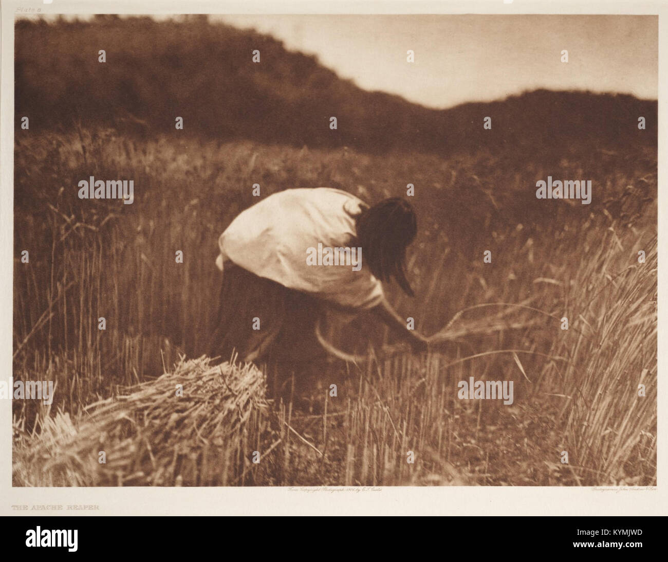 Edward Curtis photograph titled 'The Apache Reaper', showing a Native ...
