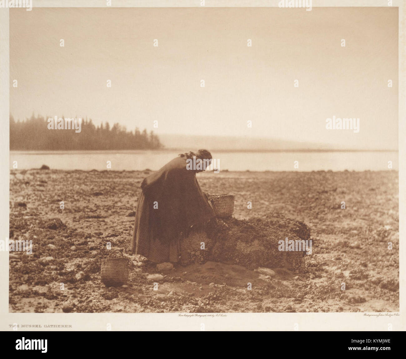 This iconic photograph, 'The Mussel Gatherer' by Edward S. Curtis ...