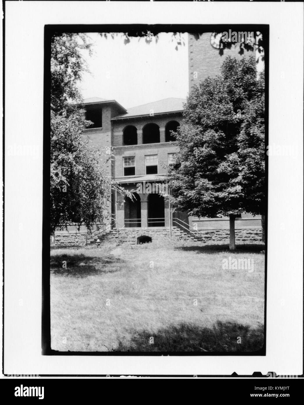 Monkey trial hi-res stock photography and images - Alamy