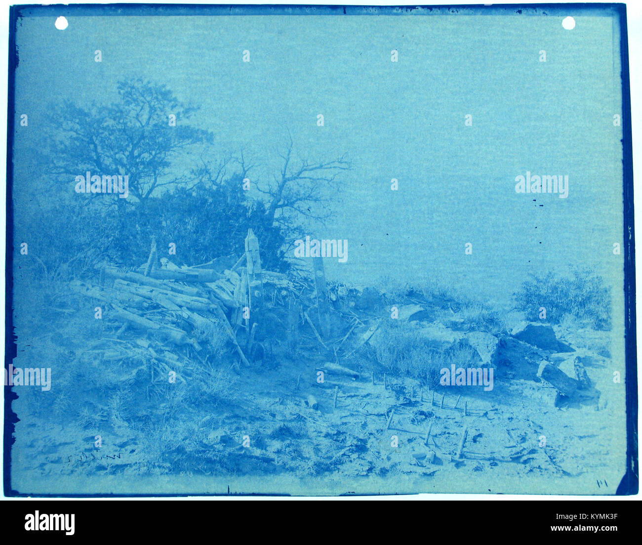 A historical cyanotype image showing an early American landscape with ...