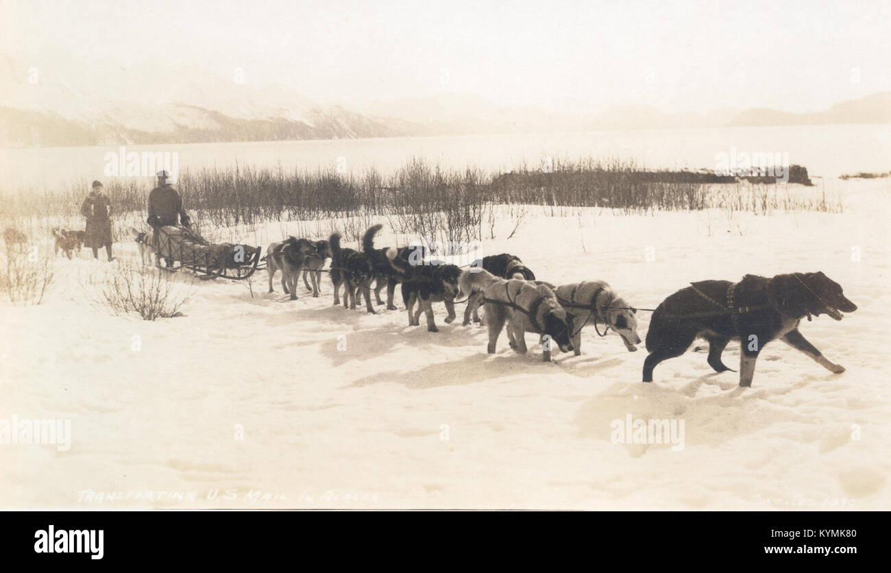 Photograph of postcard of transporting US mail in Alaska 4010655153 o ...