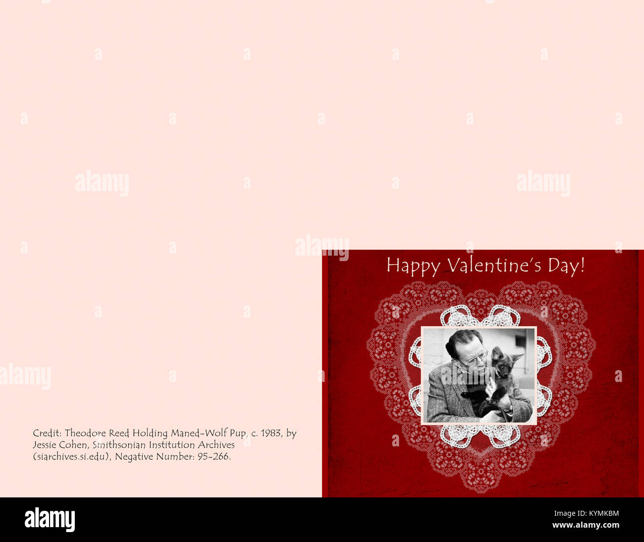 Theodore reed hi-res stock photography and images - Alamy