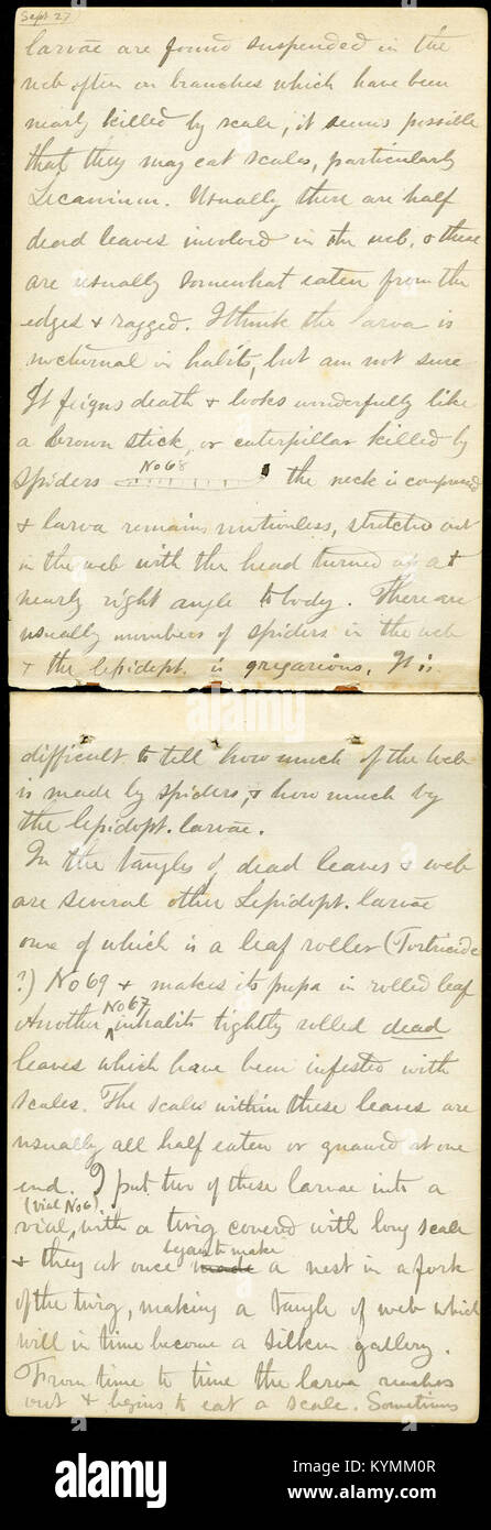 Historical diary entry hi-res stock photography and images - Alamy