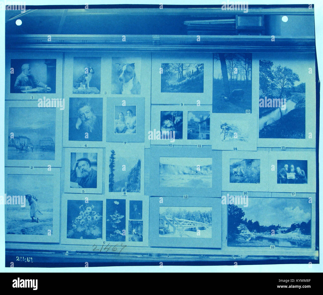 A visual collage showcasing the evolution of photography over a 40-year ...