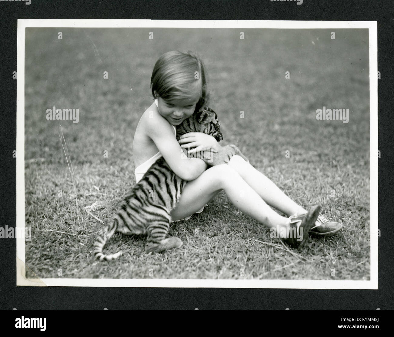 Child with tiger cub hi-res stock photography and images - Alamy
