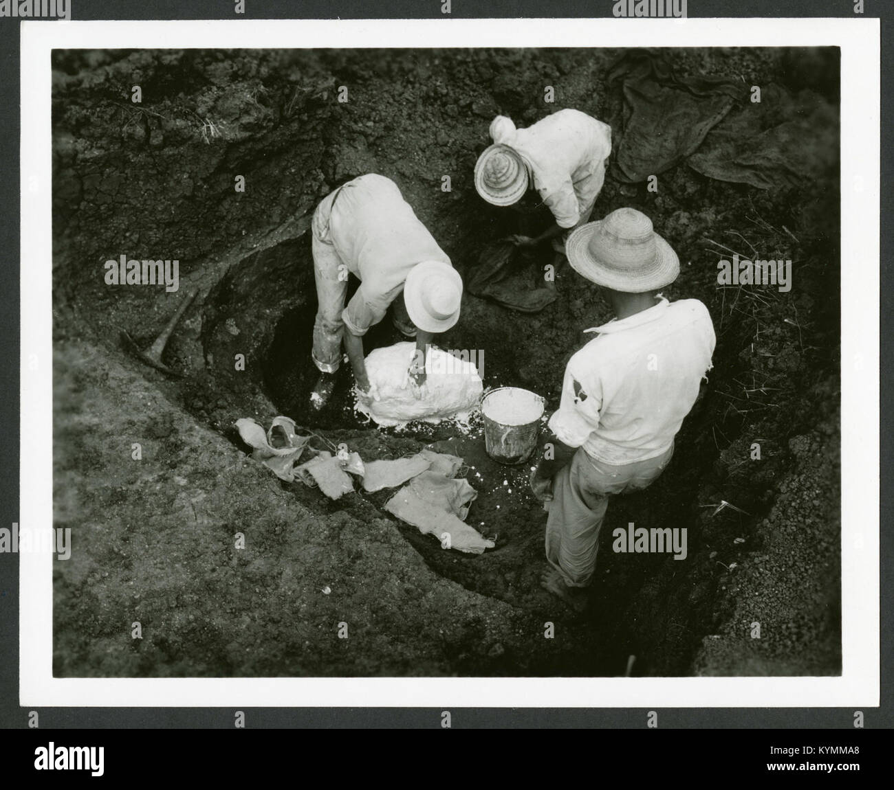 Photograph from 1951 showing field jackets used for specimen collection ...