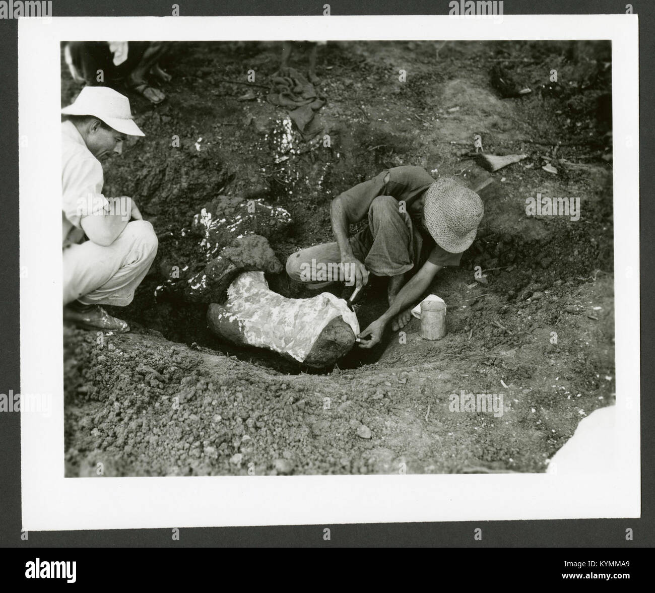 A historic photograph showing field jackets used for specimens in ...
