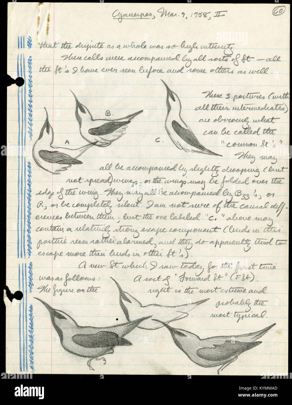 Handwriting Notes Old Book High Resolution Stock Photography and Images ...