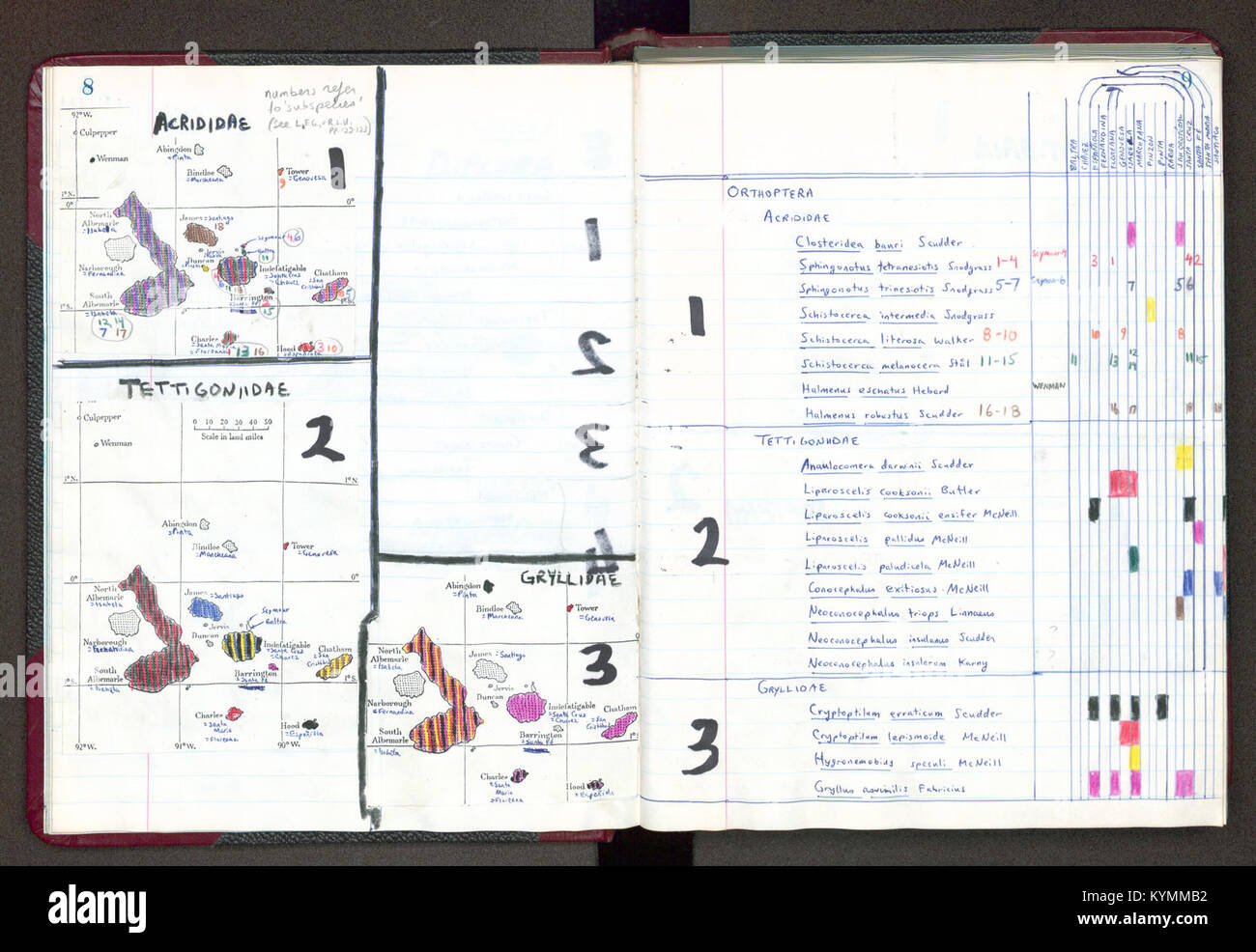 Insect distribution maps from Robert E. Silberglied's field notes, part ...