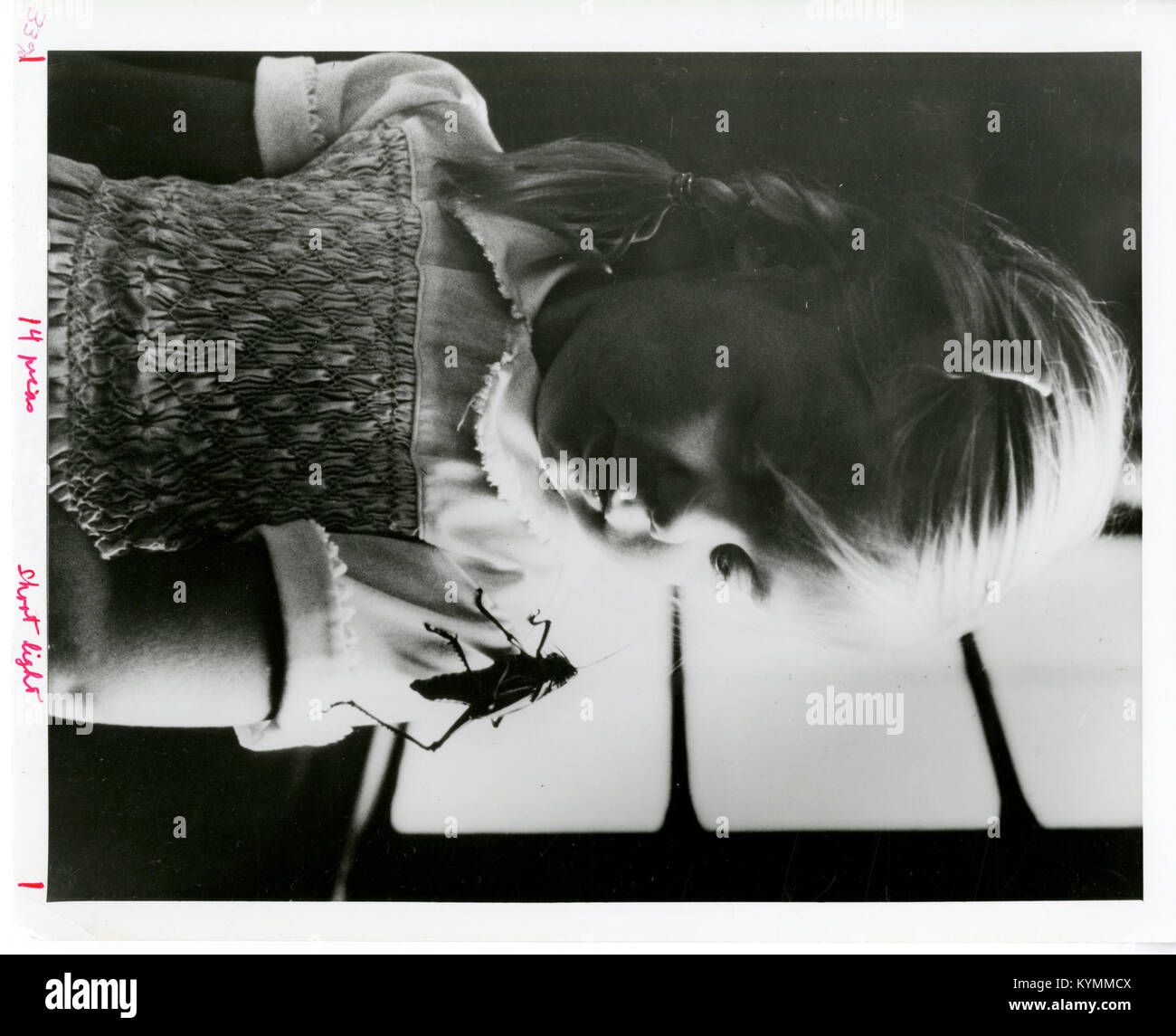 A young child observing insects at the Insect Zoo, part of an ...