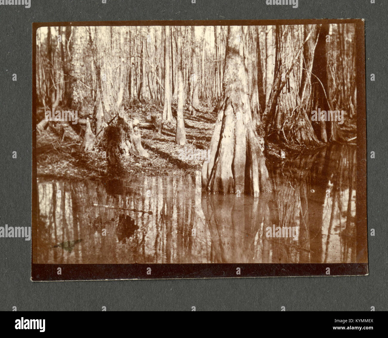 Image shows scientific illustration hi-res stock photography and images ...