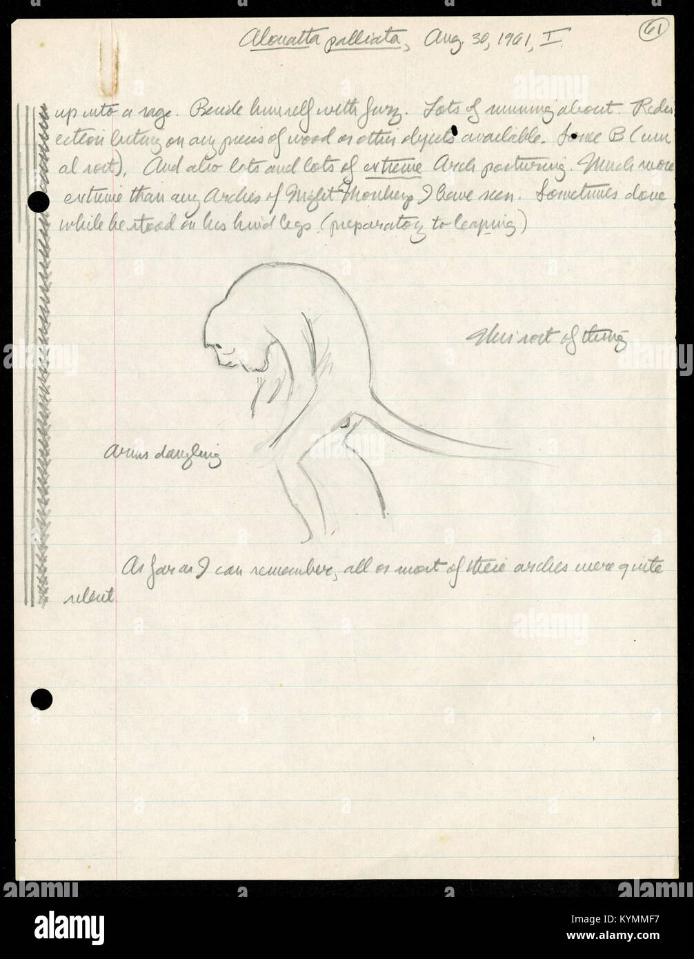 A field book entry by Martin H. Moynihan documenting the South Pacific ...