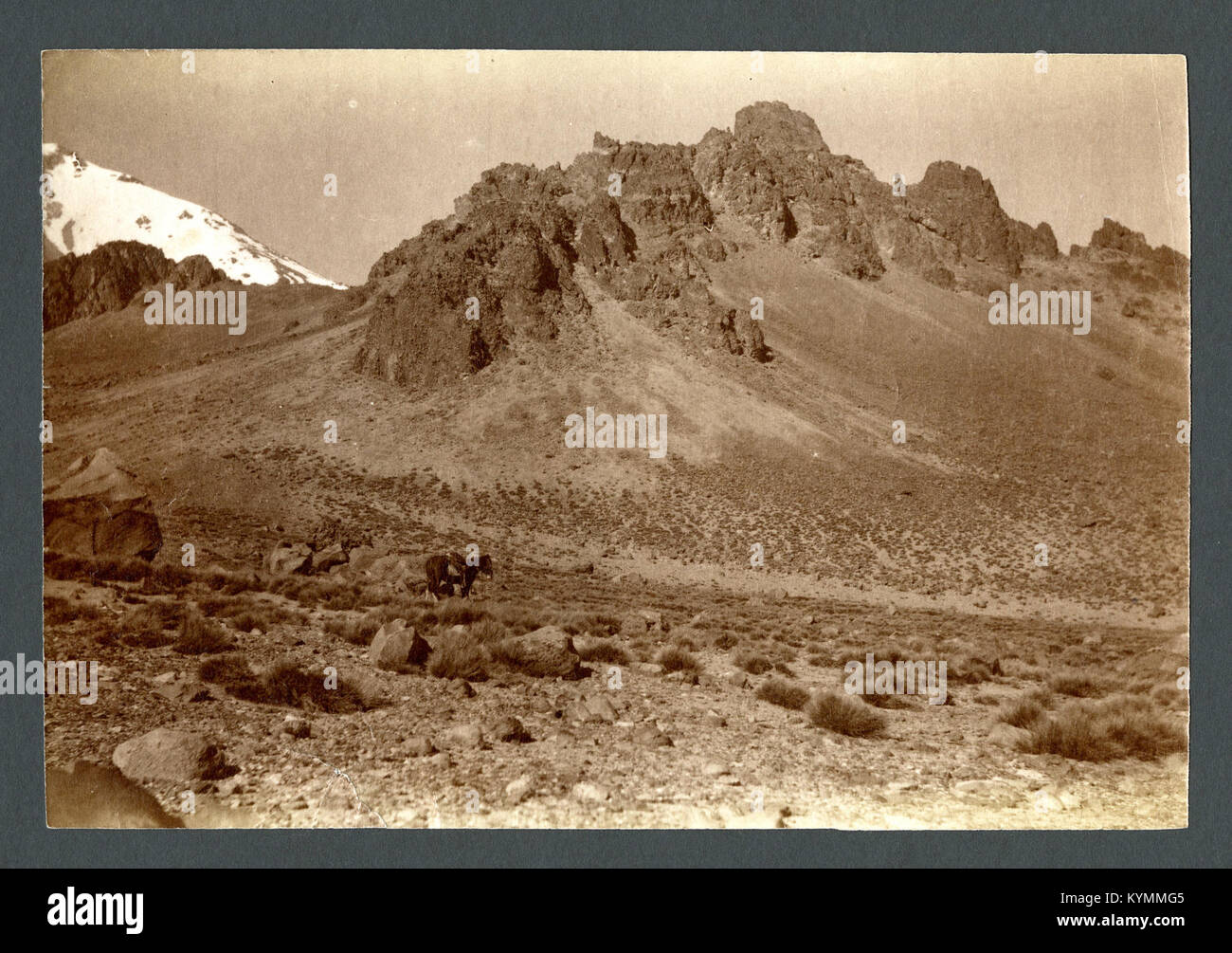 Serrated lava ridge on se base of Mt Orizaba [Volcán 14488245954 o ...