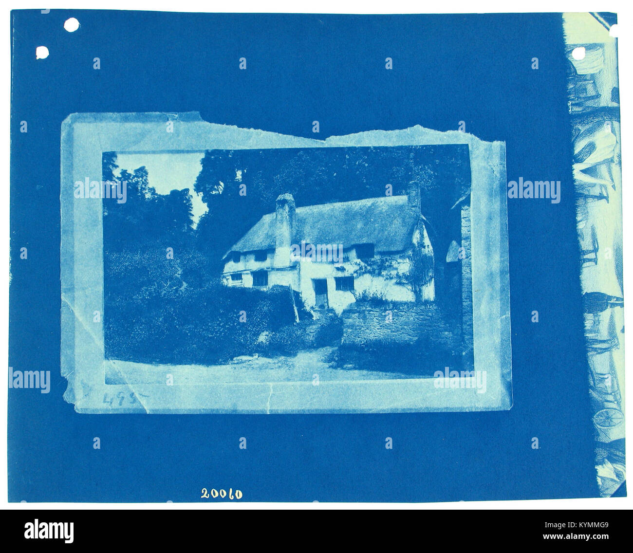 This cyanotype image, from the Smithsonian Institution, shows a ...