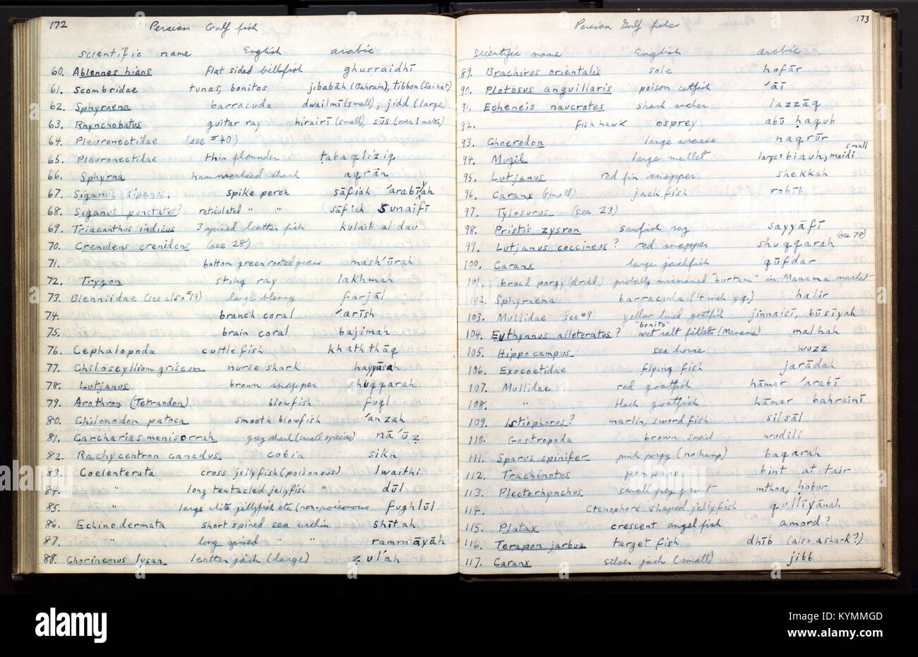 Historical fieldwork hi-res stock photography and images - Alamy