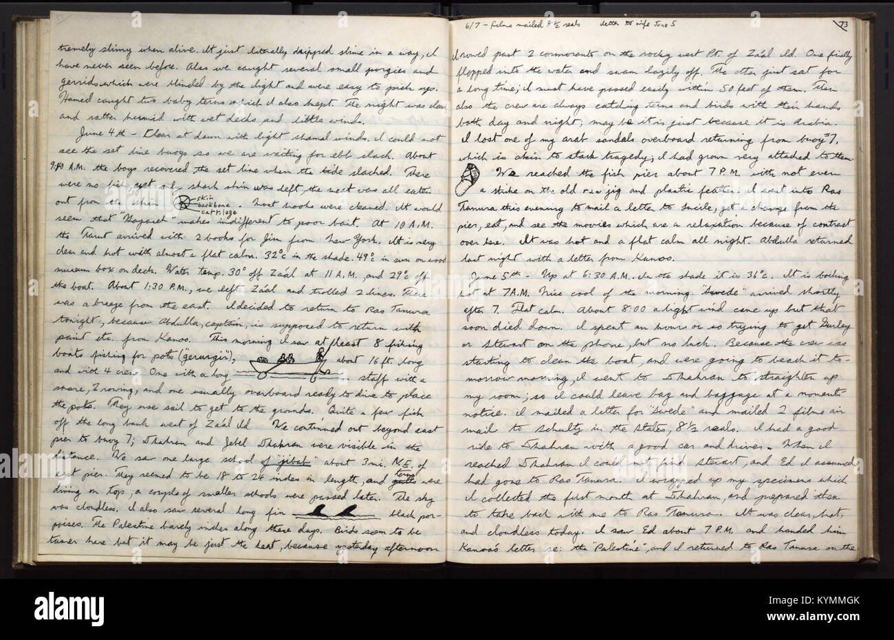 Illustration from Donald Erdman's field journal, featuring drawings of ...