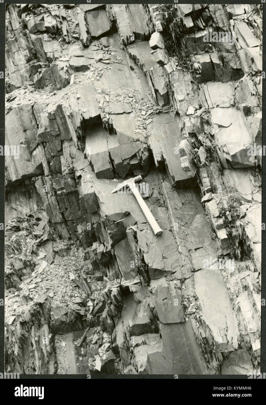 Potsfordia pretiosa shale (Lower Cambrian) near Charny, Quebec ...