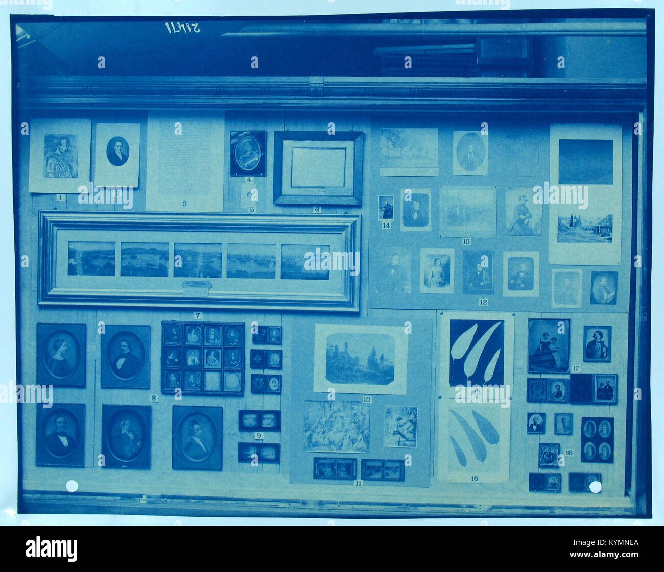 Cyanotype collage hi-res stock photography and images - Alamy