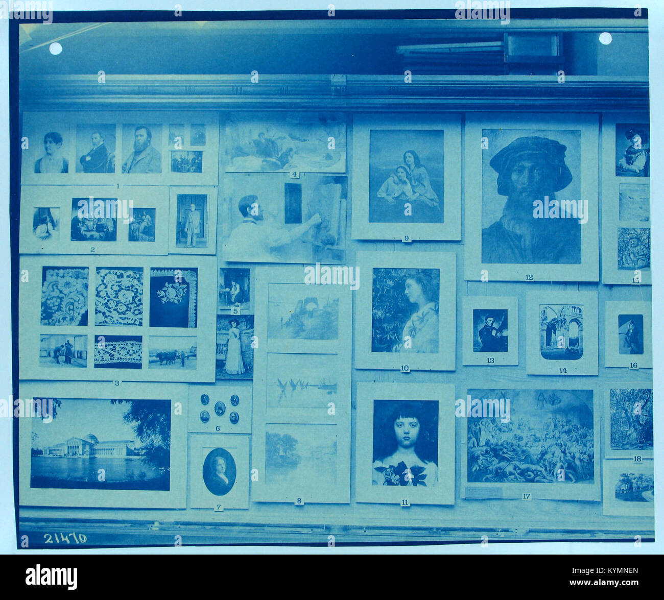 A cyanotype photograph from the Smithsonian Institution, showcasing a ...