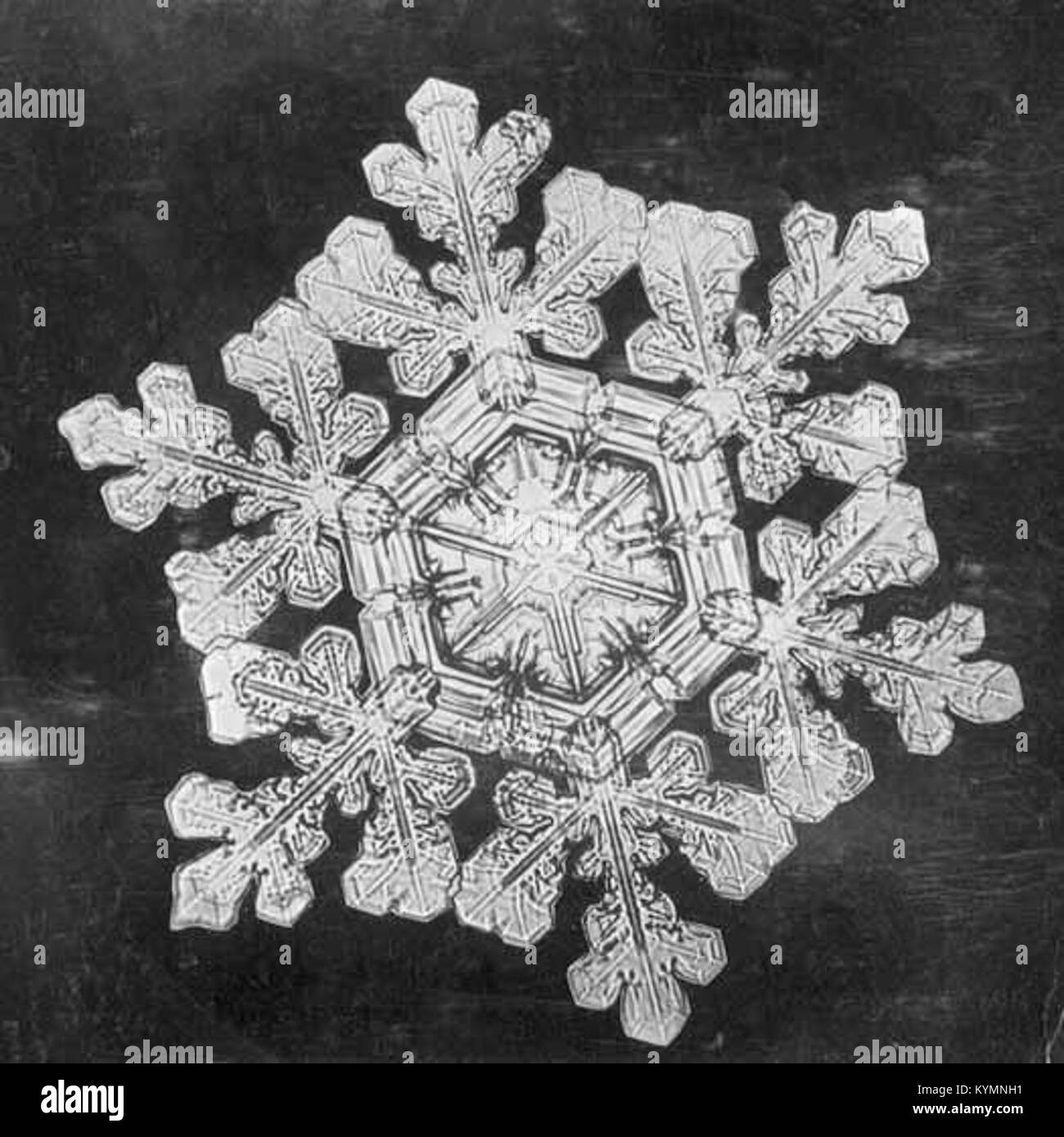 Close up image snowflake Black and White Stock Photos & Images - Alamy