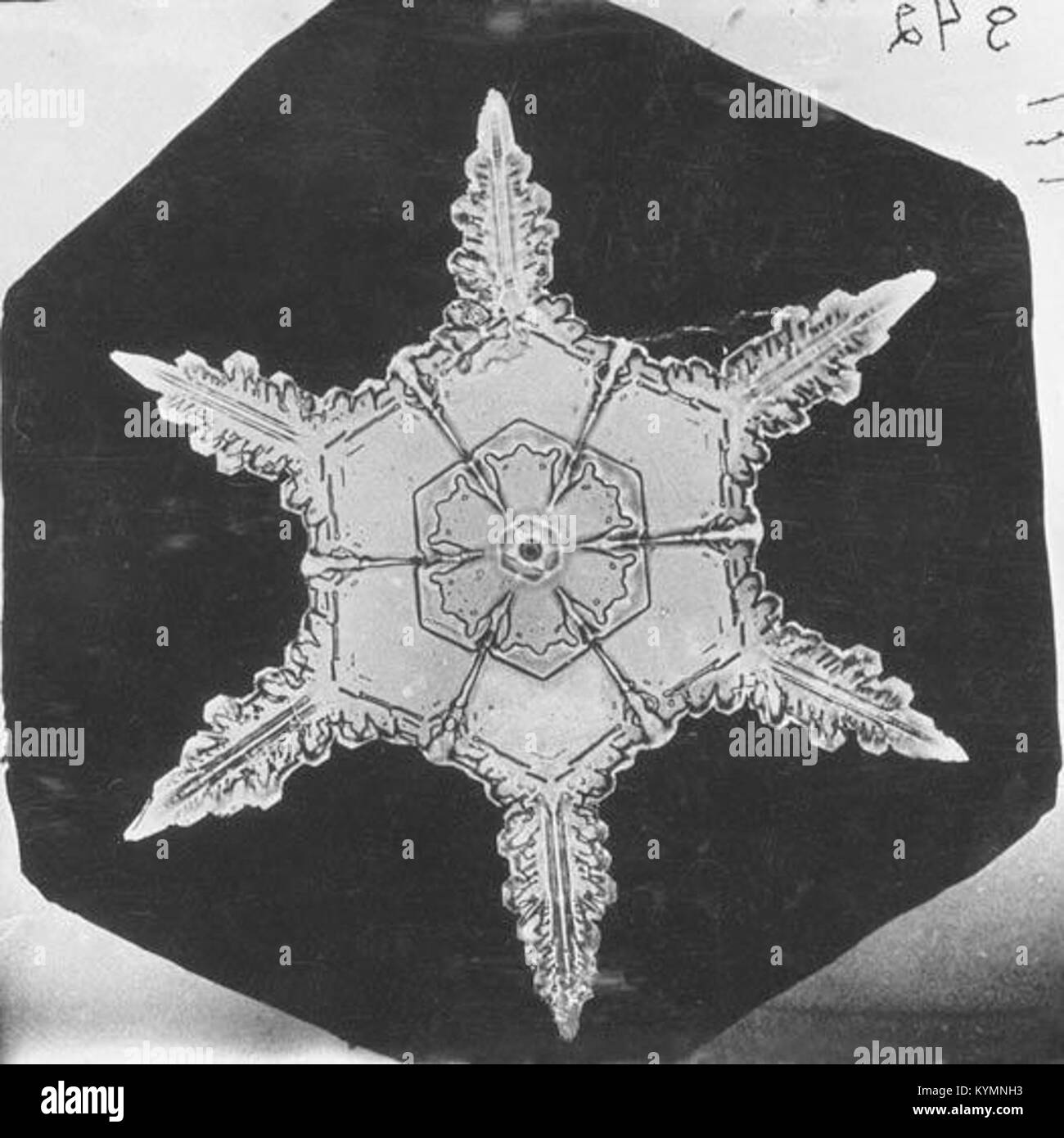 This image presents a close-up of a snowflake captured in high detail ...