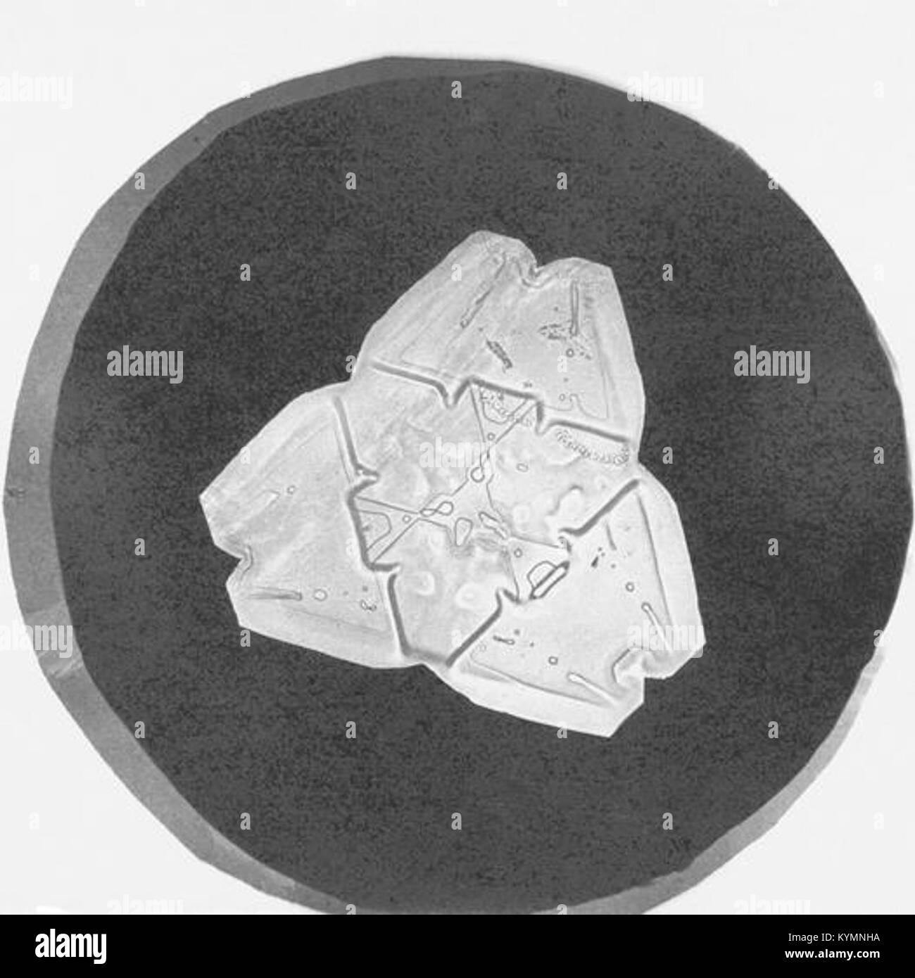 A close-up photograph of a snowflake, showcasing its intricate and ...