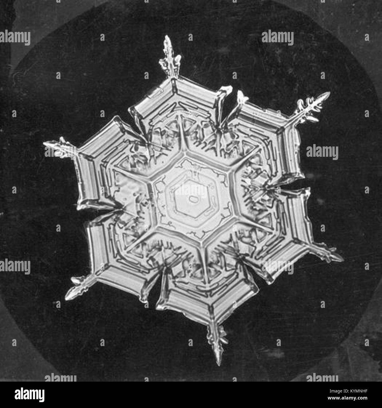 Weather study Black and White Stock Photos & Images - Alamy