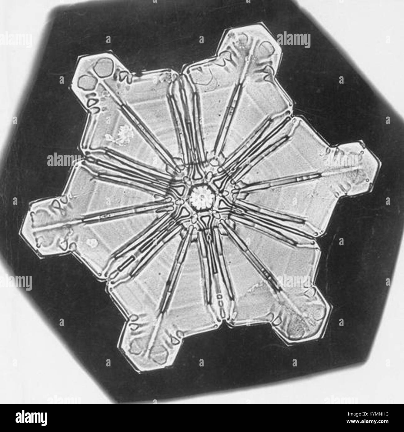 A scientific study of a snowflake, highlighting the intricate details ...