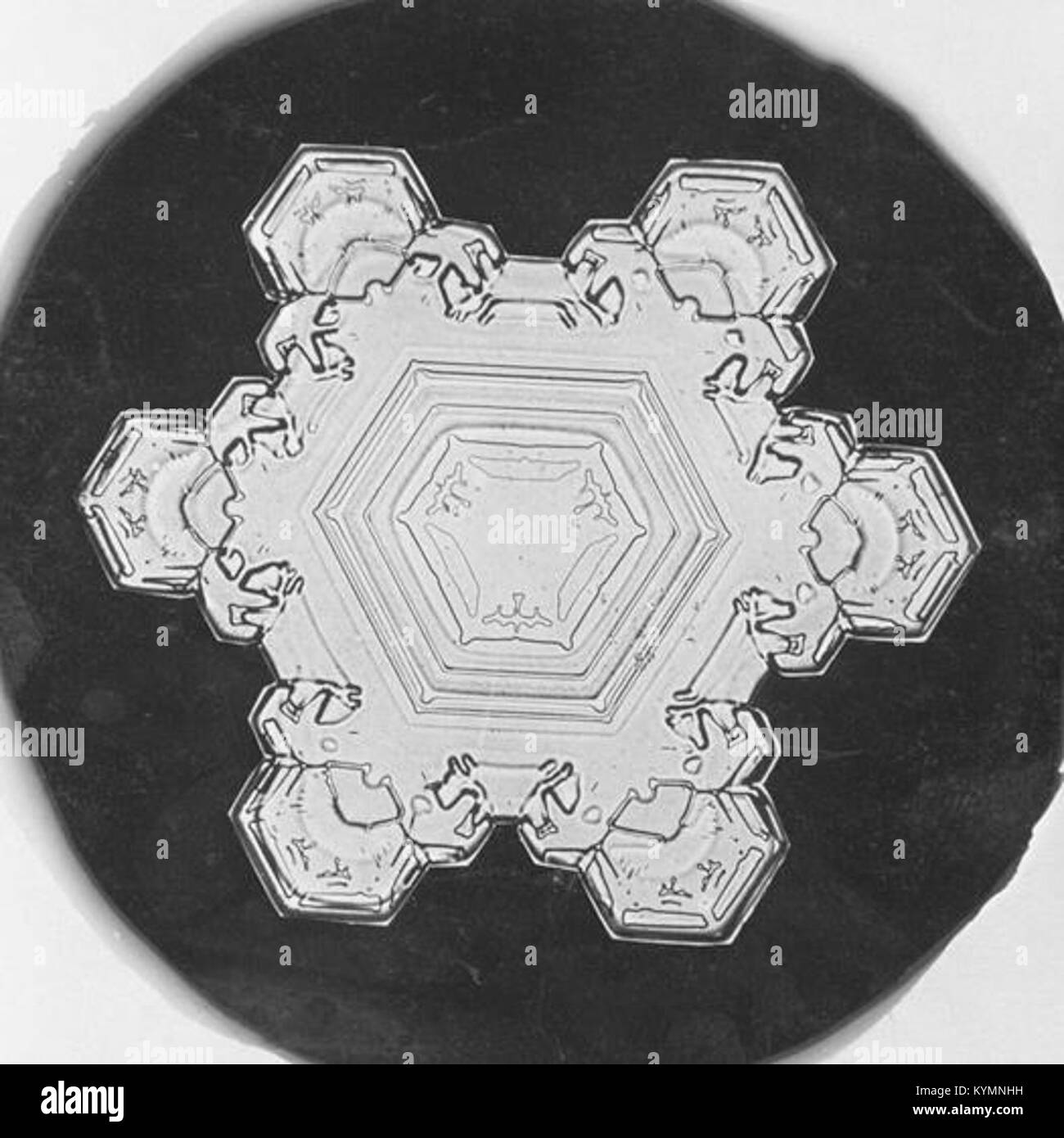 A scientific study of a snowflake captured in high resolution ...