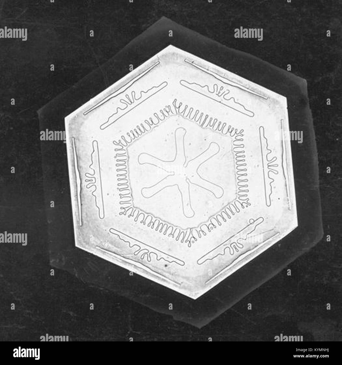 A close-up view of a snowflake captured in a scientific study ...