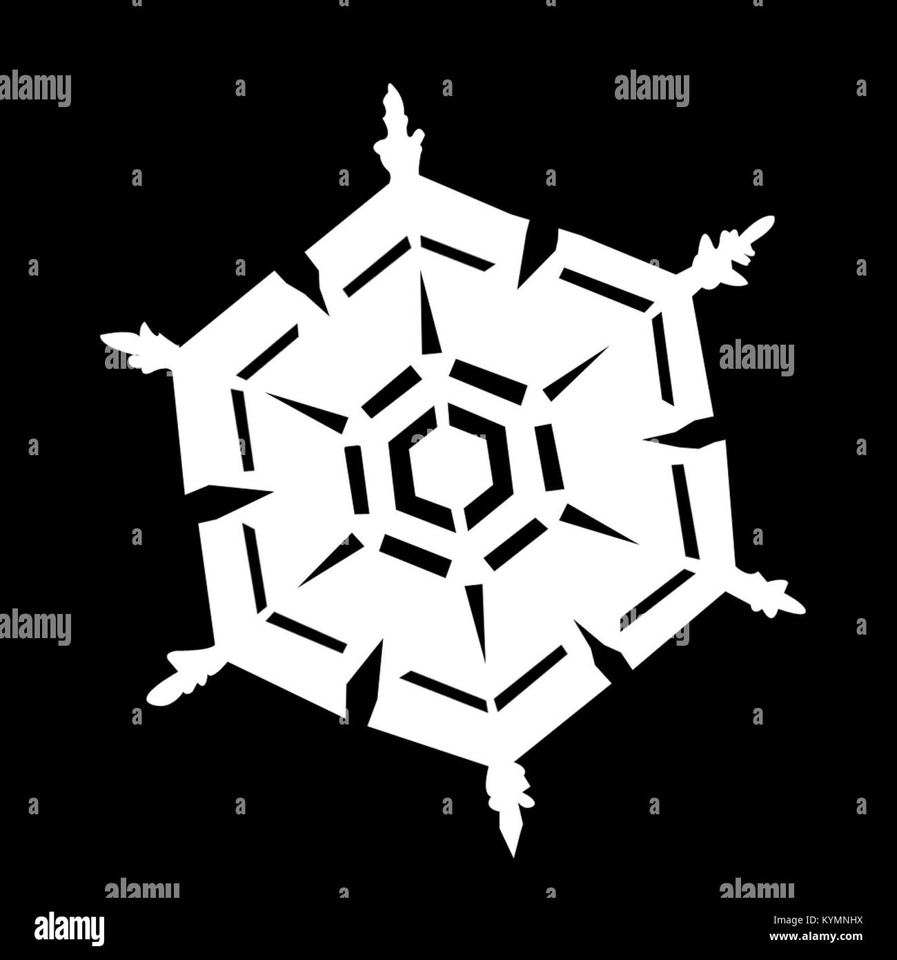 A craft template from Wilson A. Bentley's snowflake study, illustrating ...