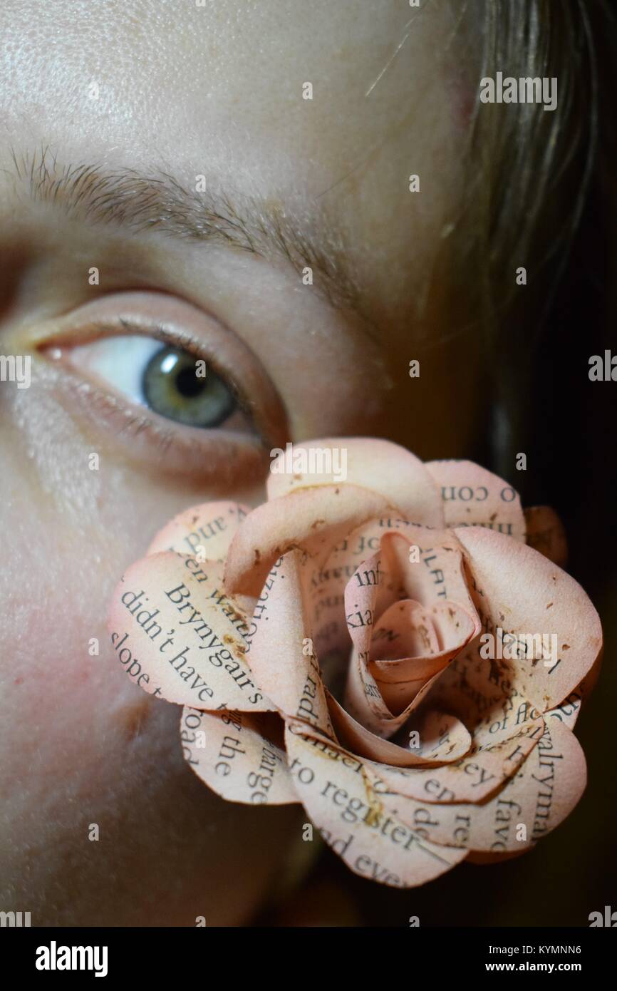 Pink rose with white eye hi-res stock photography and images - Alamy