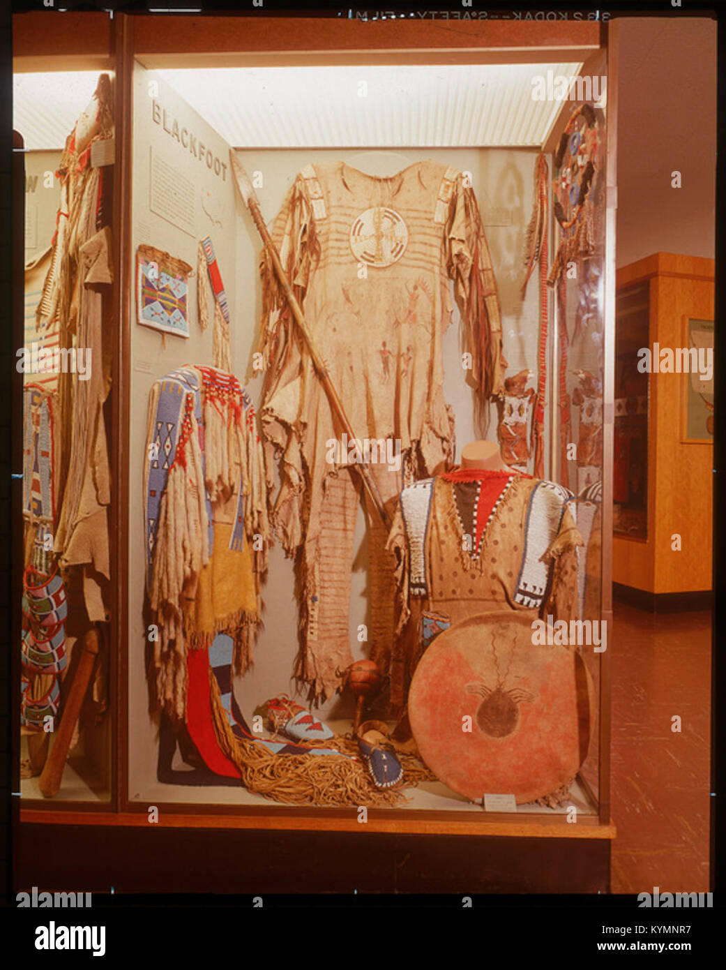 A transparency image depicting an unknown subject, showing clear detail ...