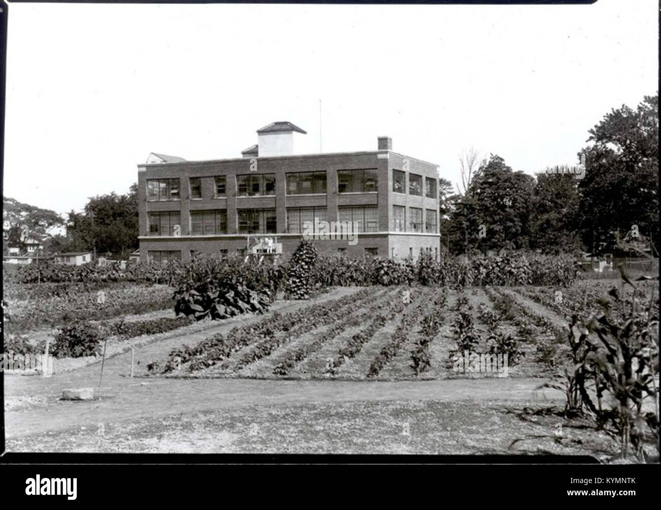 A historic photograph of the Bronx, showcasing the city’s urban ...