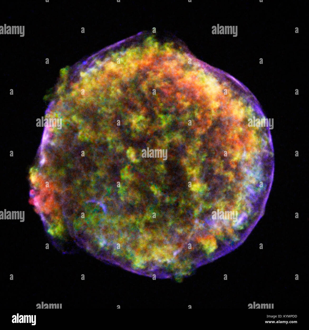 An astronomical photograph of Tycho's Supernova Remnant, captured by ...