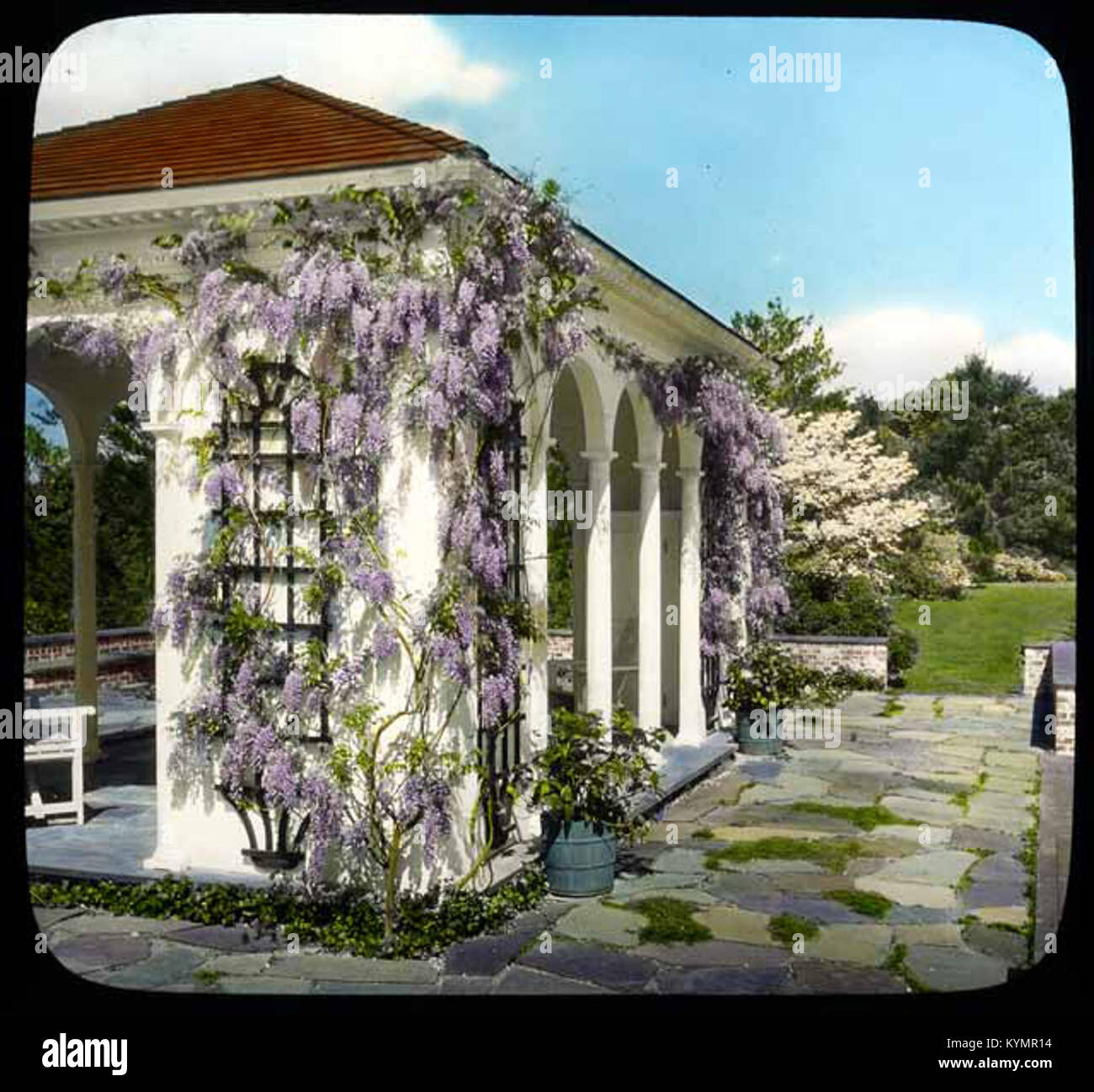 A historical photograph of the Davis Garden, showcasing a beautiful ...