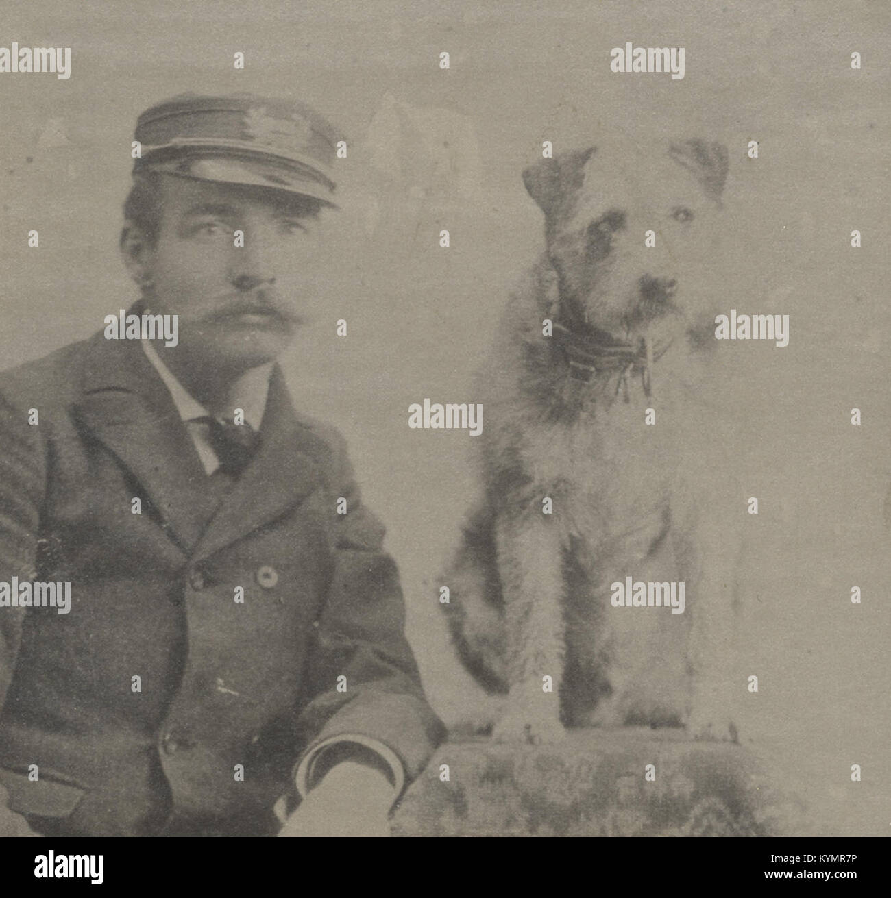 Mail carrier and dog hi-res stock photography and images - Alamy