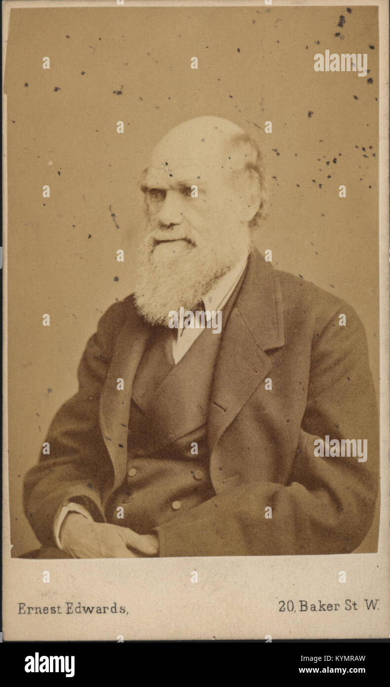 This portrait of Charles Robert Darwin, biologist and naturalist ...