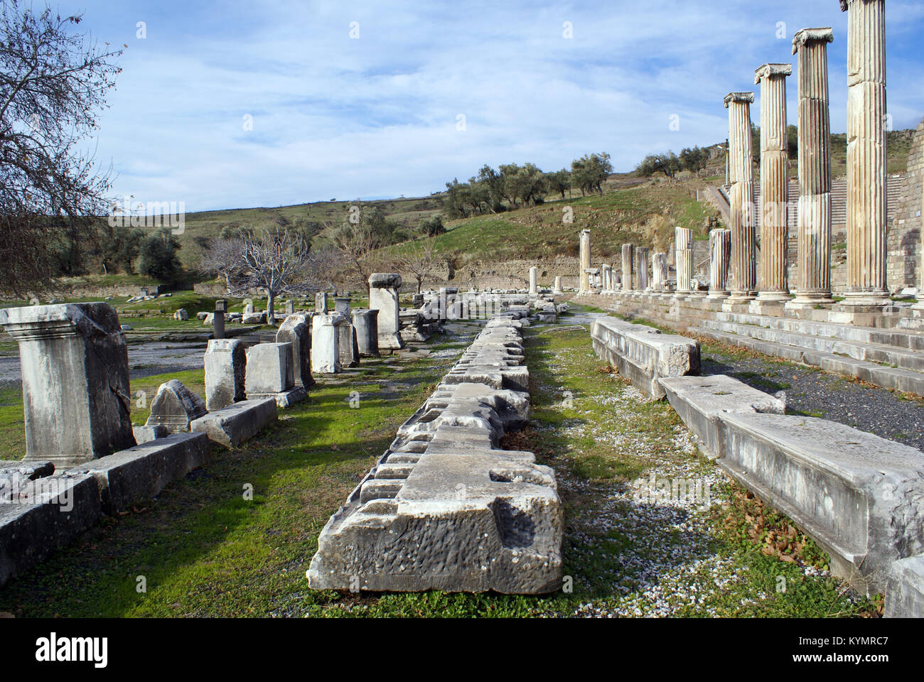 Asklepion hi-res stock photography and images - Alamy