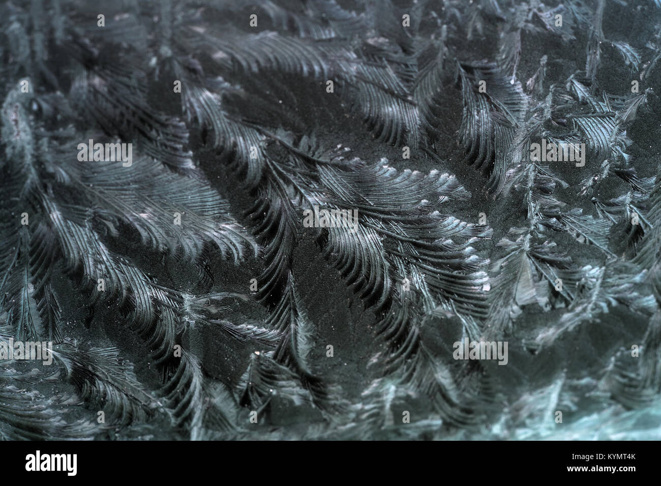 Ferns of frosty ice across a car windscreen Stock Photo - Alamy