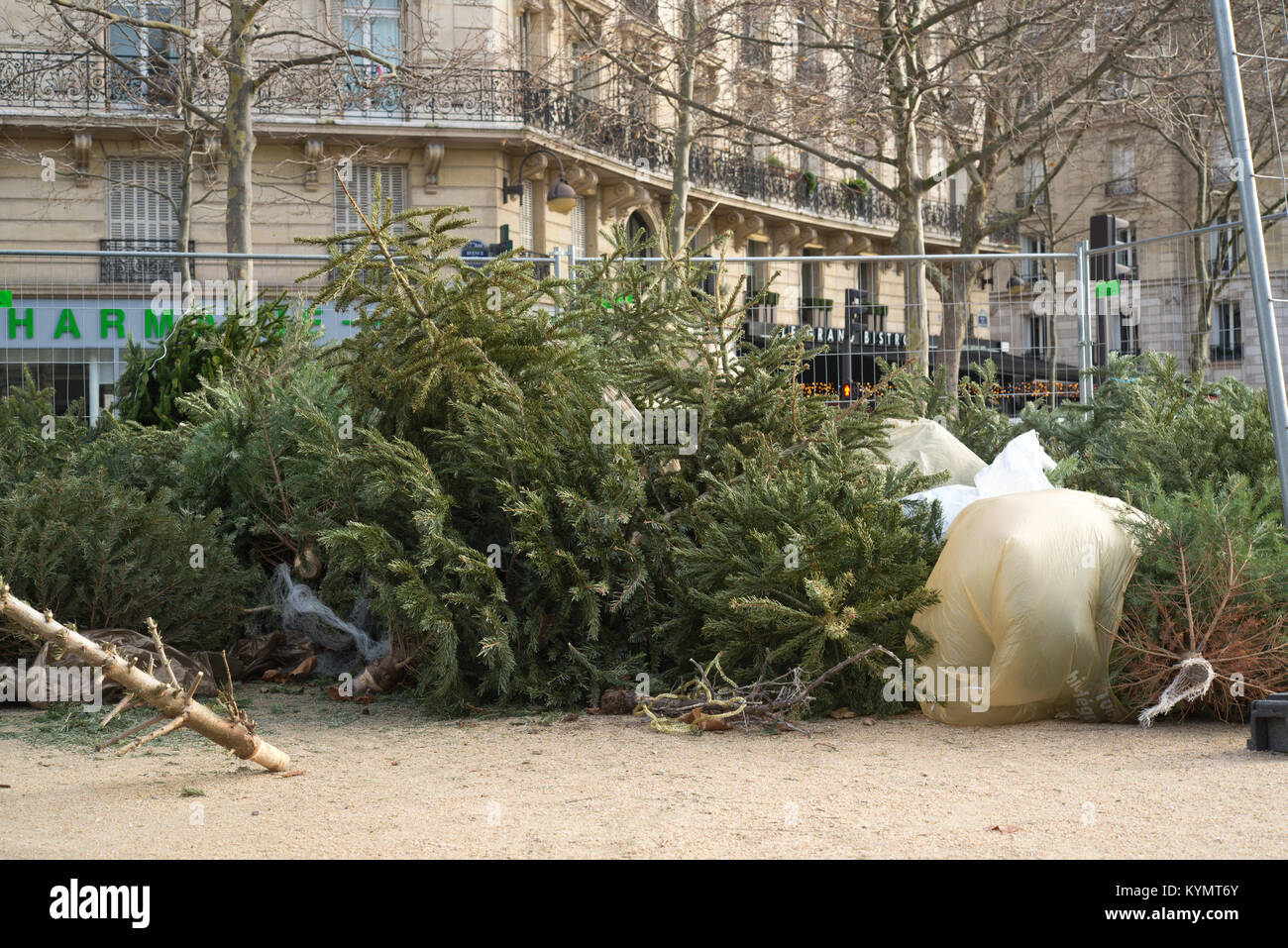 Old christmas trees hi-res stock photography and images - Alamy