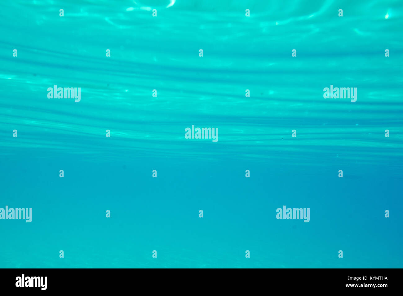 Beautiful underwater background Stock Photo - Alamy