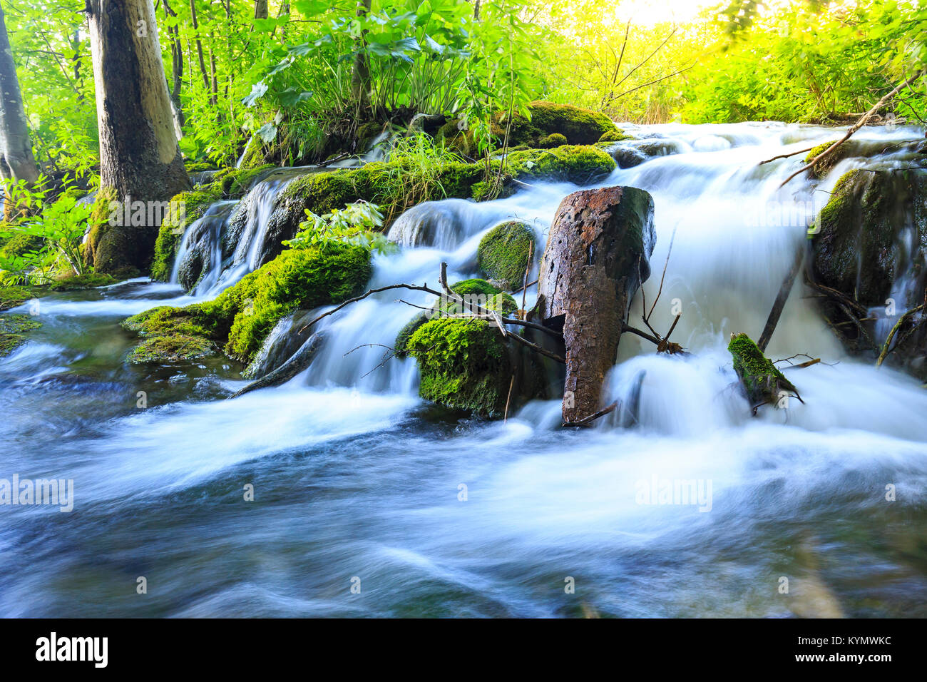 Close up of blue waterfalls in a green forest during daytime in Summer ...
