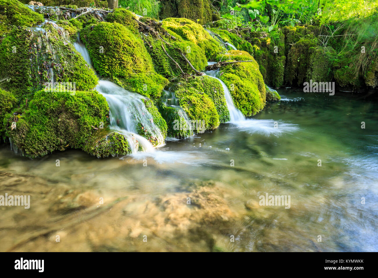 Close up of blue waterfalls in a green forest during daytime in Summer ...