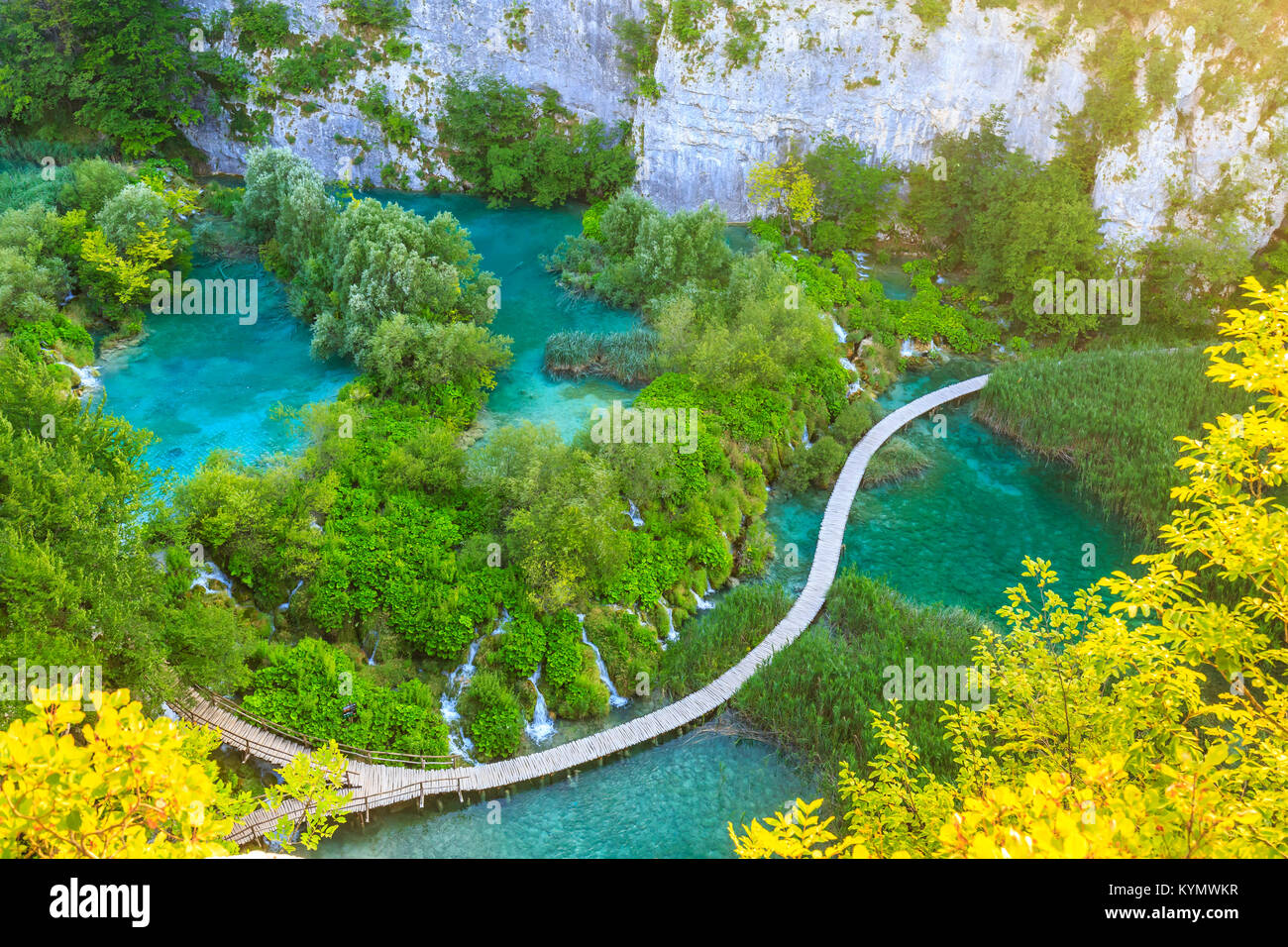 Colorful aerial scenic view on the forest, trees, landscape, walking ...