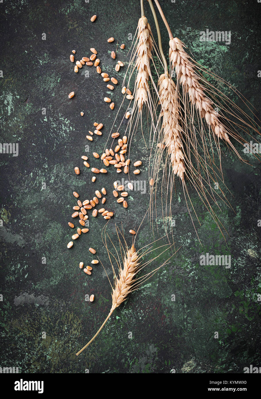Spikelets wheat hi-res stock photography and images - Alamy