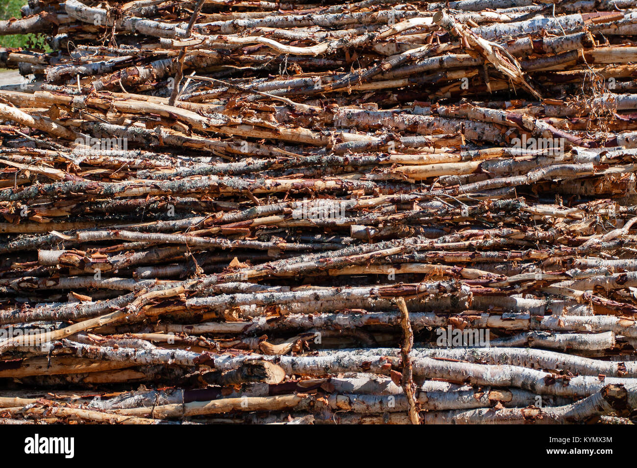 Pile cut branches stack logs hi-res stock photography and images - Alamy